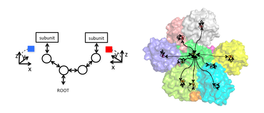 Prediction of Symmetric Assemblies – Institute for Protein Design