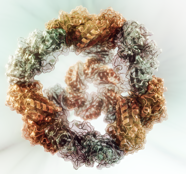 Accurate Design of Co-Assembling Multi-Component Protein Nanomaterials ...