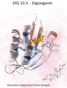 One Small Molecule Binding Protein, One Giant Leap for Protein Design ...