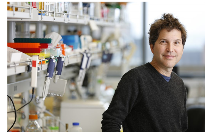 Institute for Protein Design – Welcome to the IPD's Website!