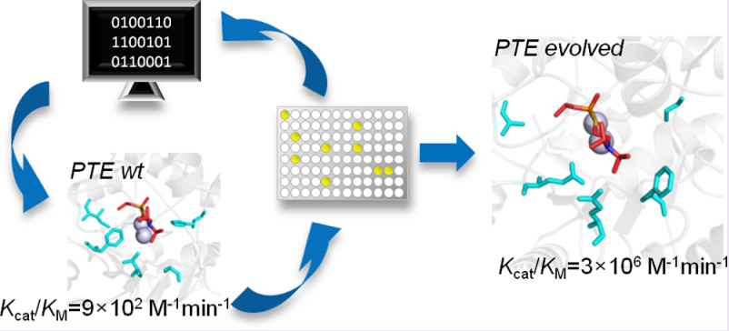 Rosetta – Institute for Protein Design