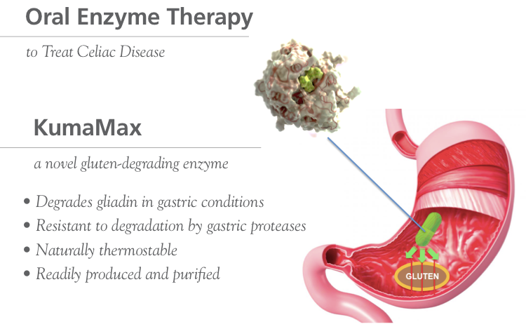 KumaMax: Winner of C4C Recognition as a Novel Oral Therapeutic for ...