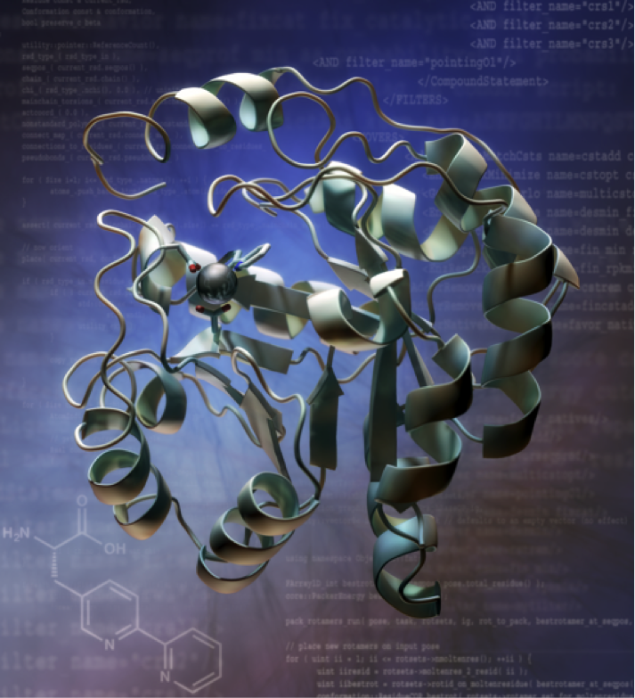Rosetta – Institute for Protein Design
