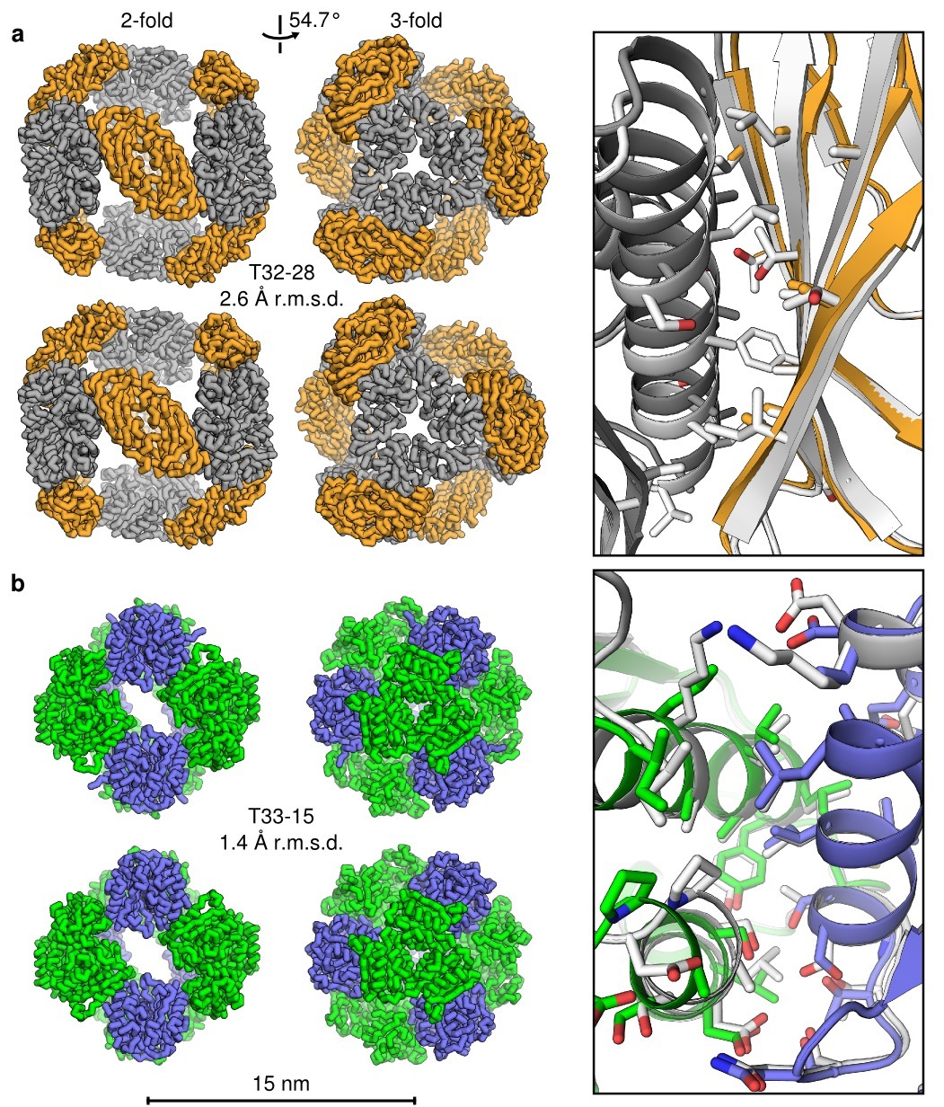 Accurate Design of Co-Assembling Multi-Component Protein Nanomaterials ...