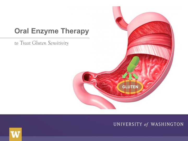 Engineering an Oral Therapeutic for Celiac Disease – Institute for ...