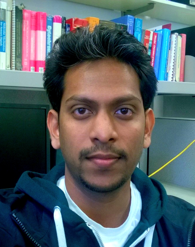 Former WRF Innovation Fellows – Institute for Protein Design
