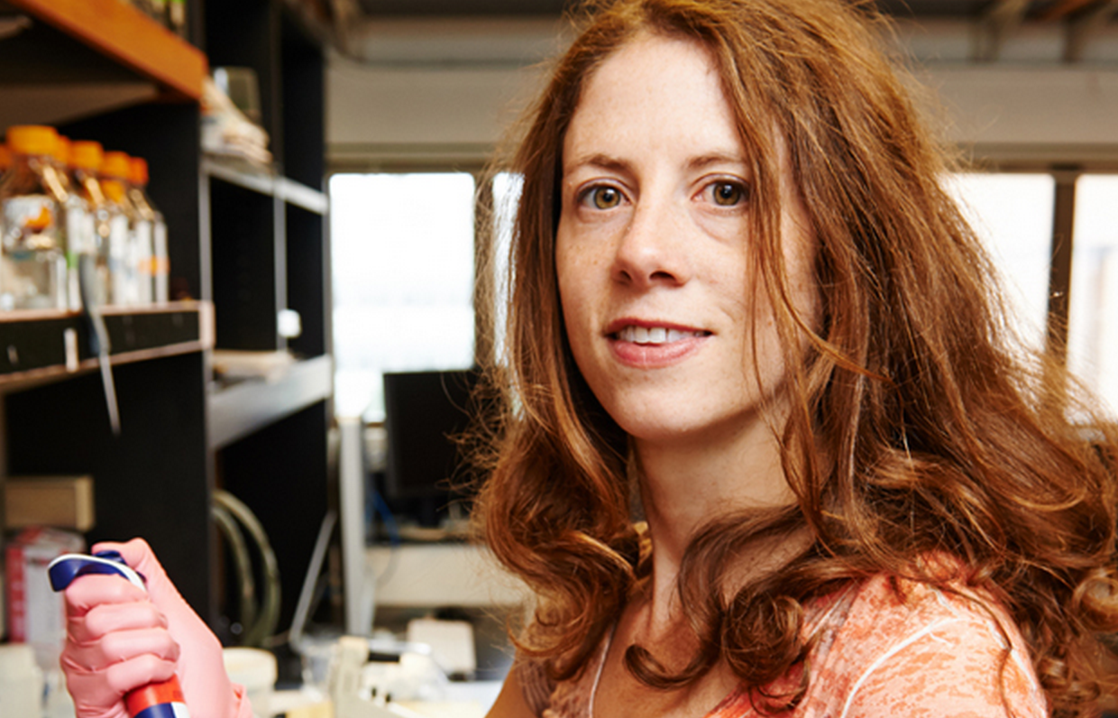 December IPD News Roundup – Institute for Protein Design