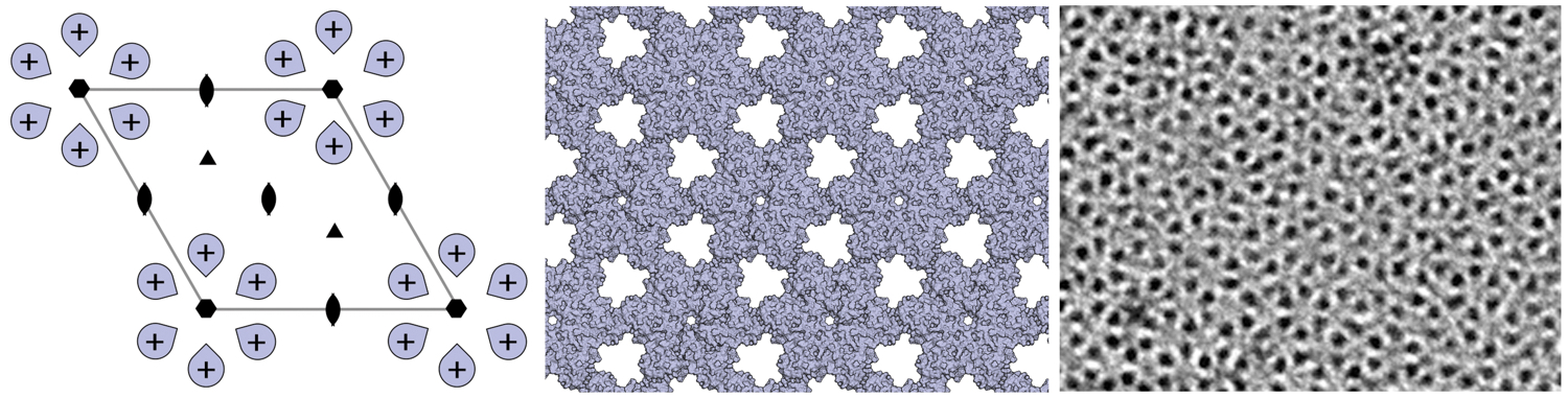 New Science paper: Designed 2-D protein arrays – Institute for Protein ...