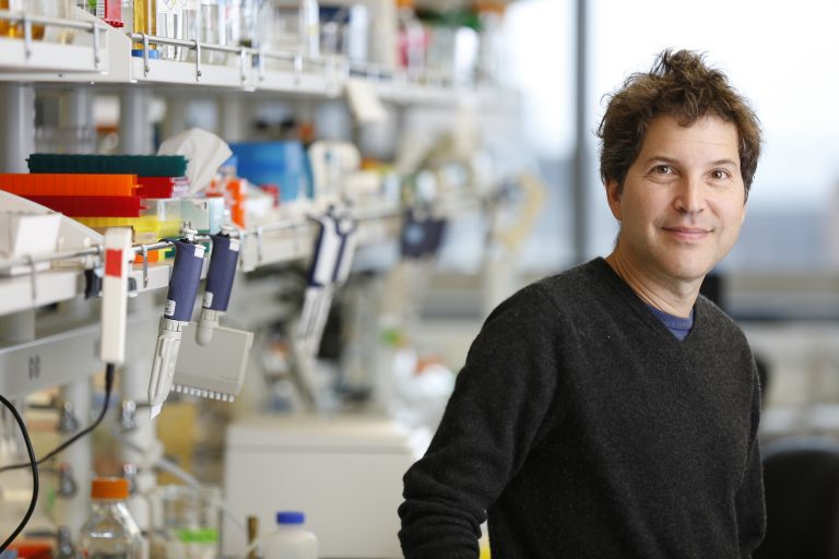 2016 IPD Newsletter from David Baker – Institute for Protein Design