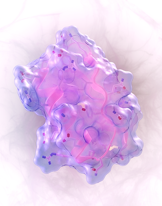 Hyper-stable Designed Peptides and the Coming of Age for De Novo ...