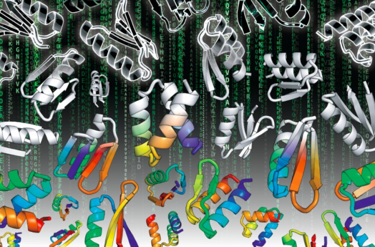 The Matrix of Protein Design - Institute for Protein Design