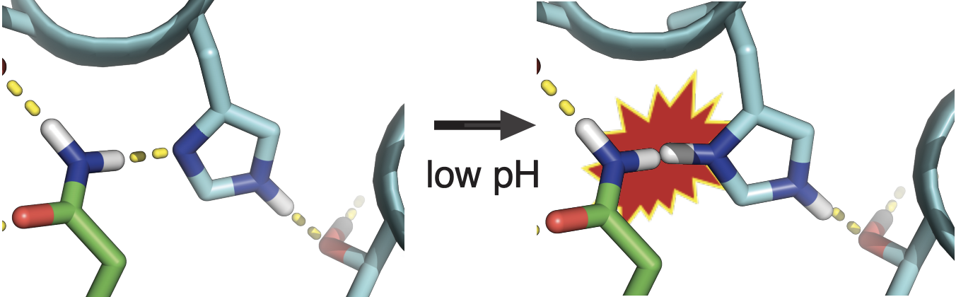 Tunable pH-dependent assemblies – Institute for Protein Design