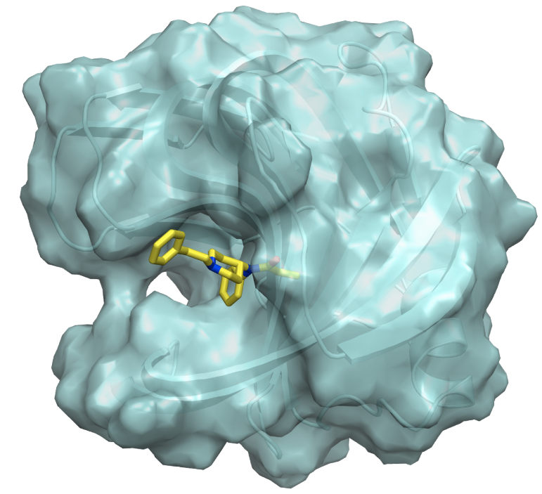 Basic Areas of Research – Institute for Protein Design