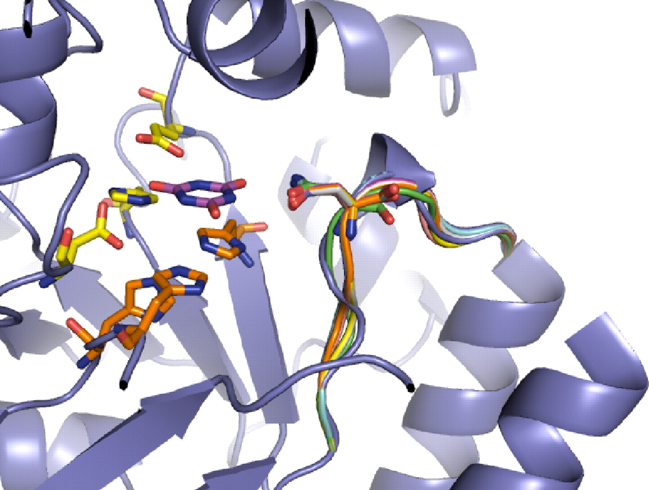 Basic Areas of Research – Institute for Protein Design