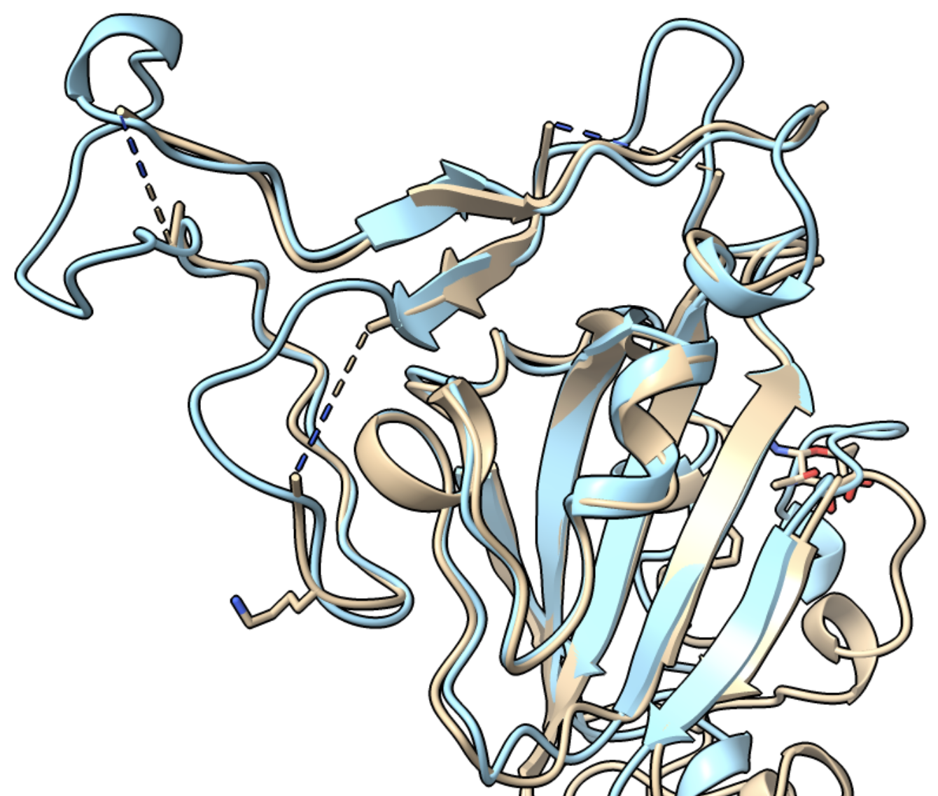 Rosetta’s role in fighting coronavirus – Institute for Protein Design