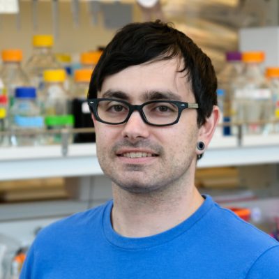 Core R&D Labs - Institute for Protein Design