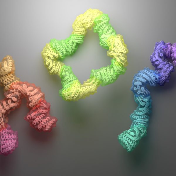 News – Institute for Protein Design