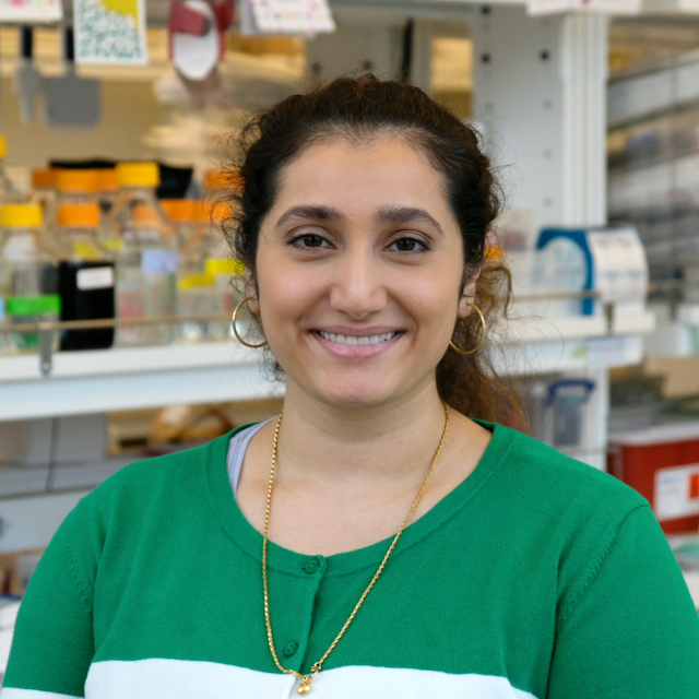 Core R&D Labs - Institute for Protein Design