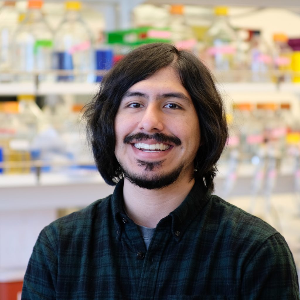 Faculty and Staff - Institute for Protein Design