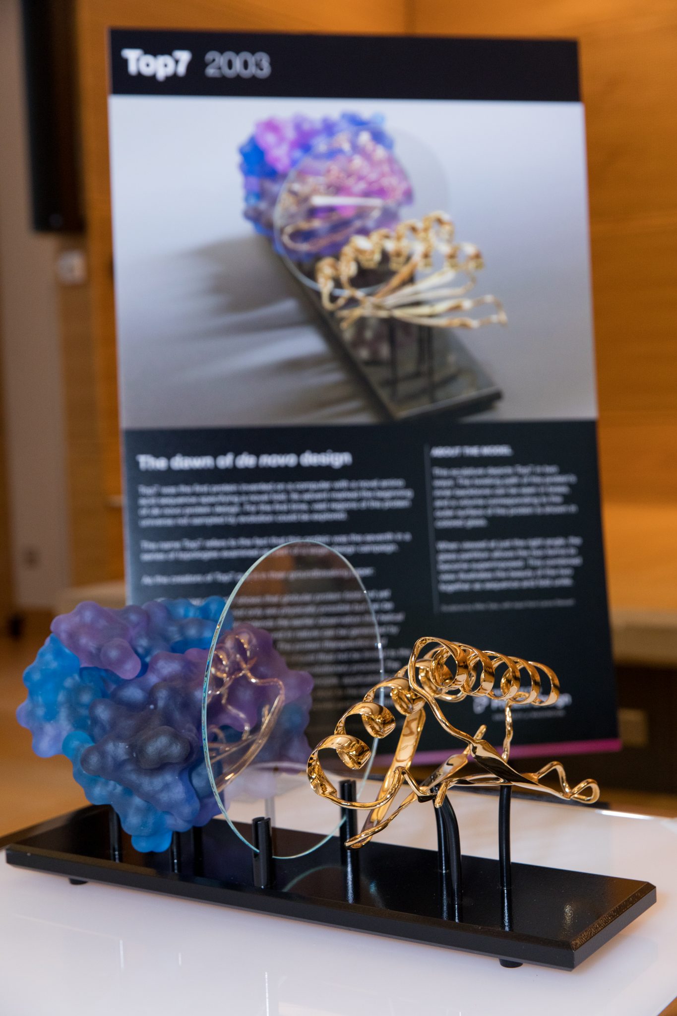 Celebrating our 10-year anniversary – Institute for Protein Design