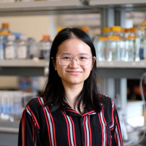 Core Research Labs – Institute for Protein Design