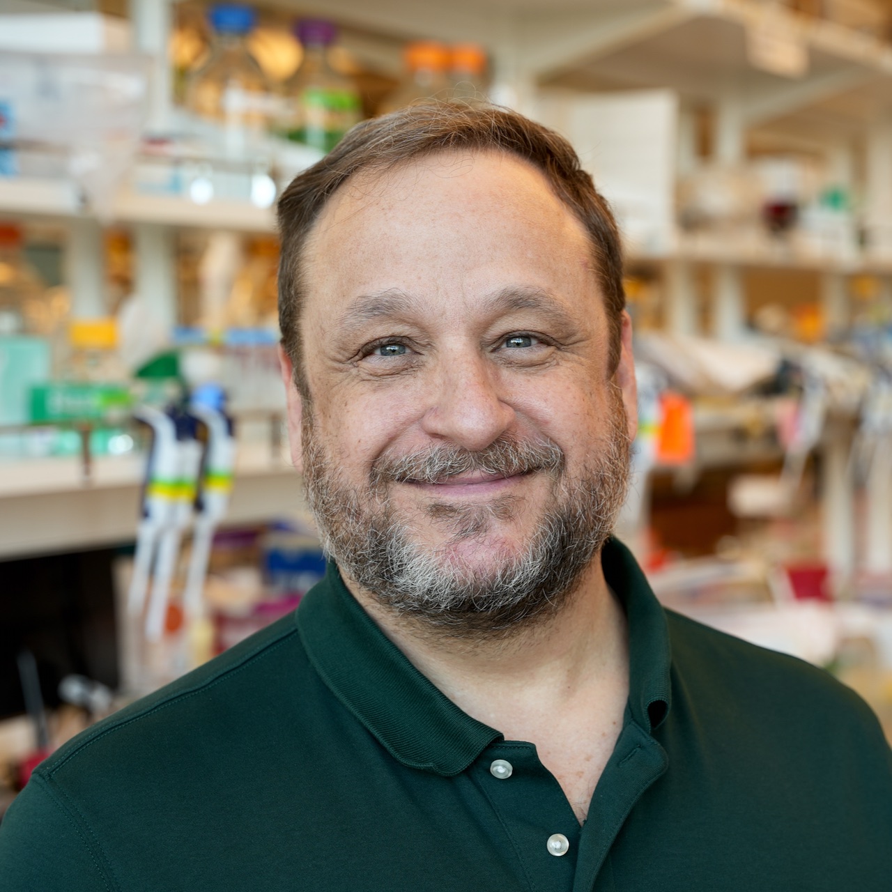 Core R&D Labs - Institute for Protein Design