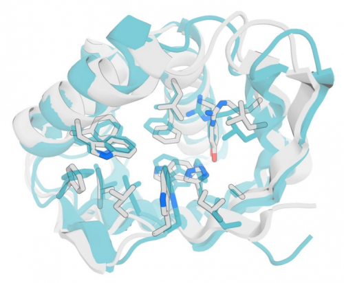 Machine learning generates custom enzymes – Institute for Protein Design