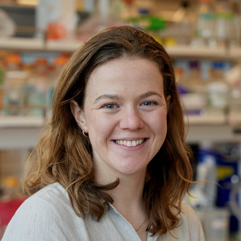 RFdiffusion now free and open source – Institute for Protein Design