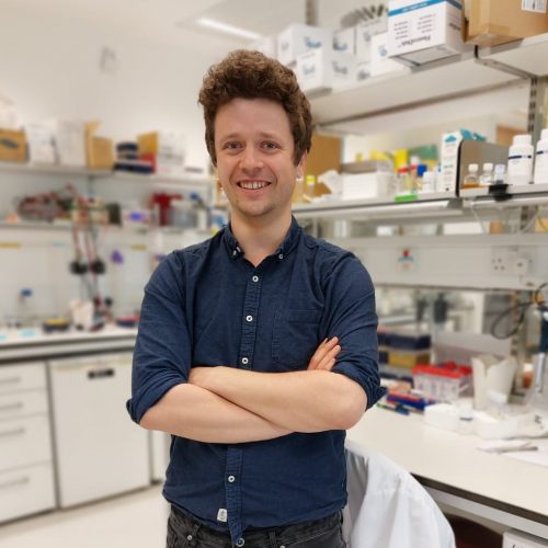 RFdiffusion now free and open source – Institute for Protein Design