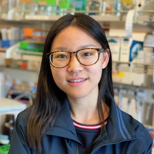 Design of binders for disordered targets – Institute for Protein Design