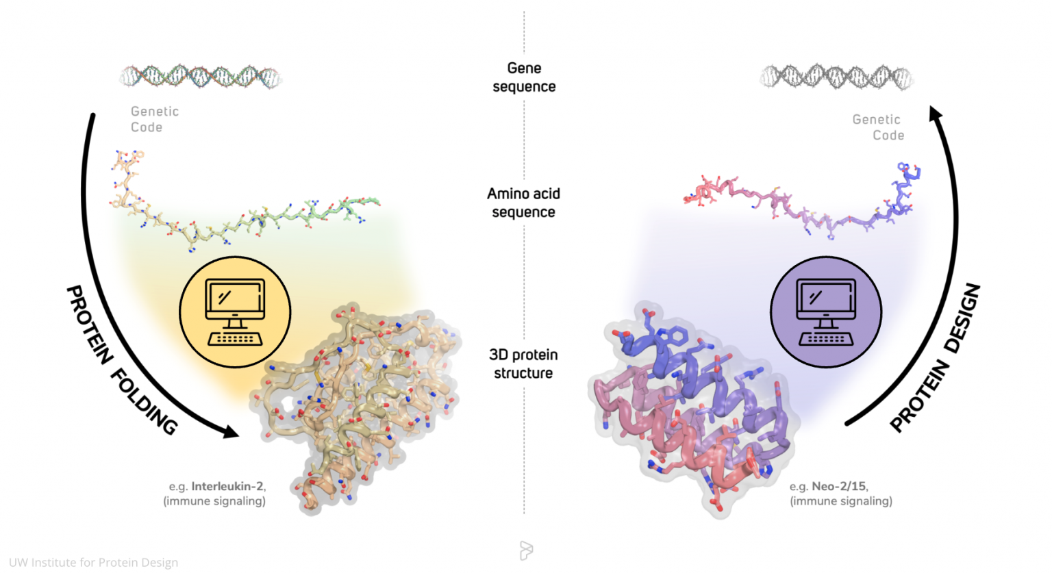 Introducing All-Atom versions of RoseTTAFold and RFdiffusion – Institute for Protein Design