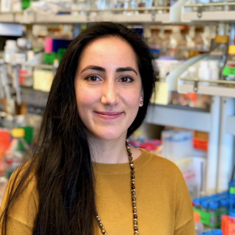 A new path to carbon storage – Institute for Protein Design