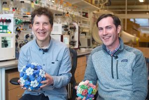 AstraZeneca to buy Icosavax for $1.1B - Institute for Protein Design