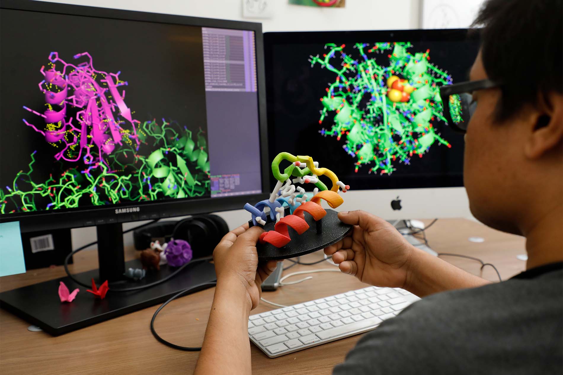 Institute for Protein Design