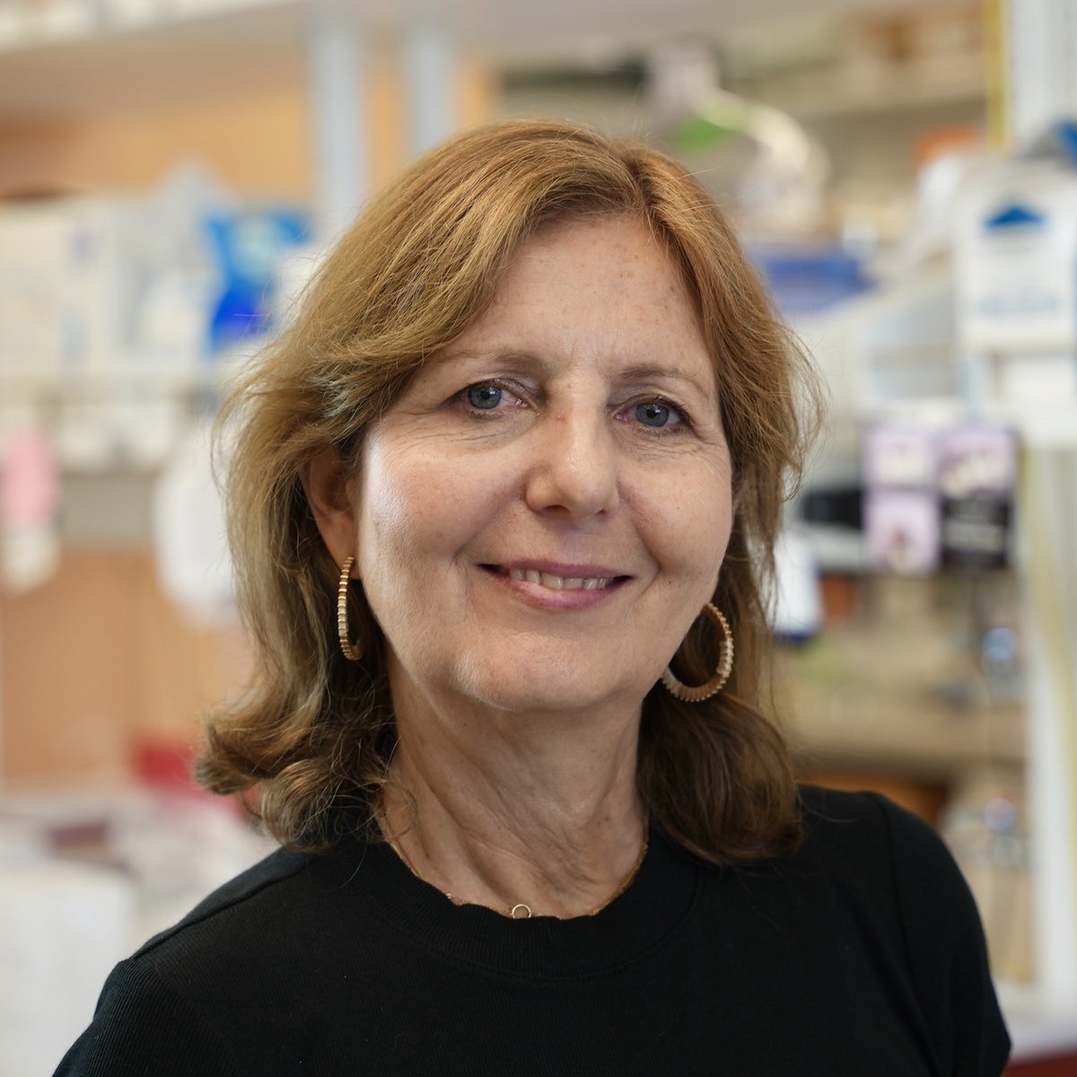 Core R&D Labs – Institute for Protein Design