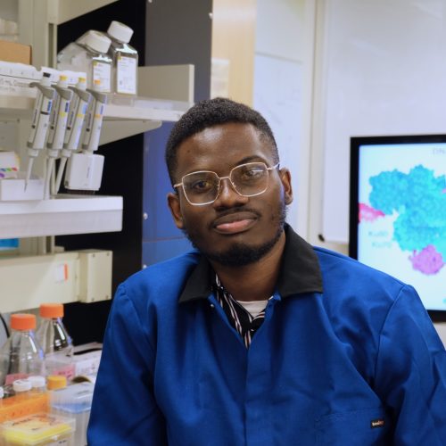 Introducing RFpeptides – Institute for Protein Design