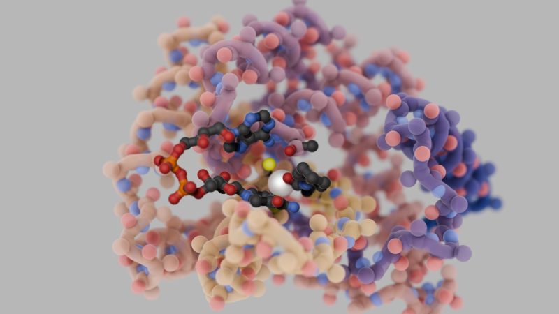 David Baker wins Nobel Prize for protein design – Institute for Protein ...